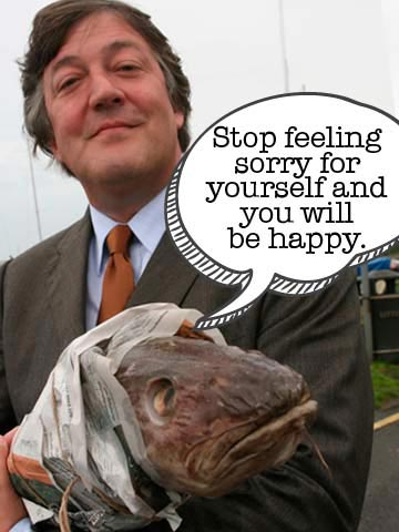 Stephen Fry Memes Understanding Propinquity With Stephen Fry