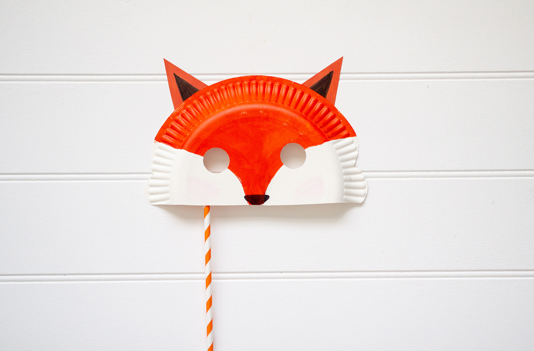 How To Make Paper Plate Masks