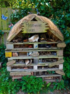 How to make a bug hotel
